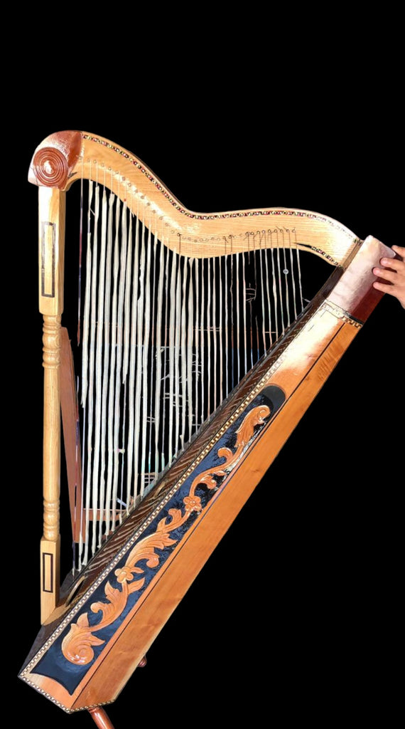 ARPAS/ HARP DON CORTEZ JALICIENSE DCA901-MARIACHI/ hard case and pick ...