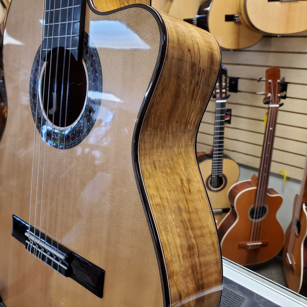 Classical Acoustic Electric Guitar Don Cortez Spalted Maple Cortez ST ...